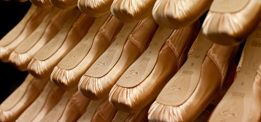Pointe Shoes - Extensive Selection – Portland Dancewear
